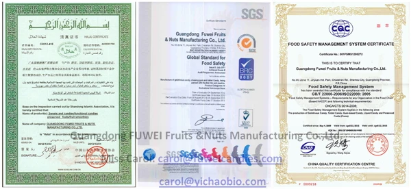 Probiotic Digestive Gummies with Bacillus Coagulans 500m to 5b CFU