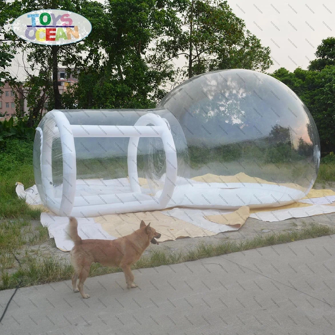 Clear Inflatable Camping Bubble Tent House For Outdoor With Tunnel ...