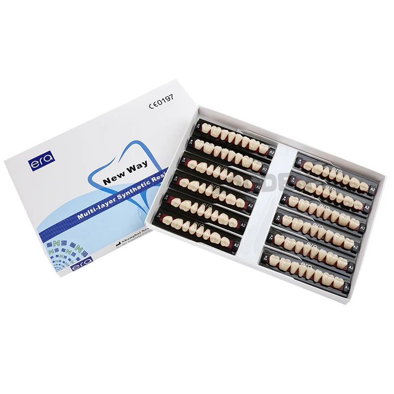 New Way Posterior Teeth Three Layer Factory Price Multilayer Synthetic ...