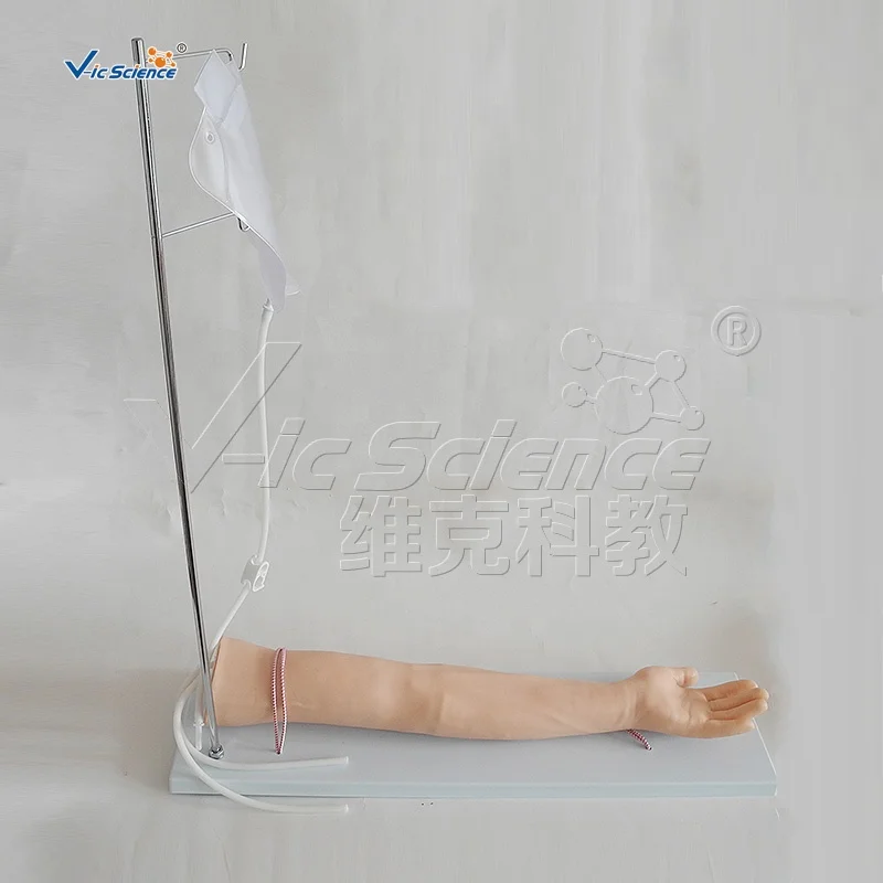 Advanced Iv Arm Medical Simulator For Training Nurse Training Injection ...