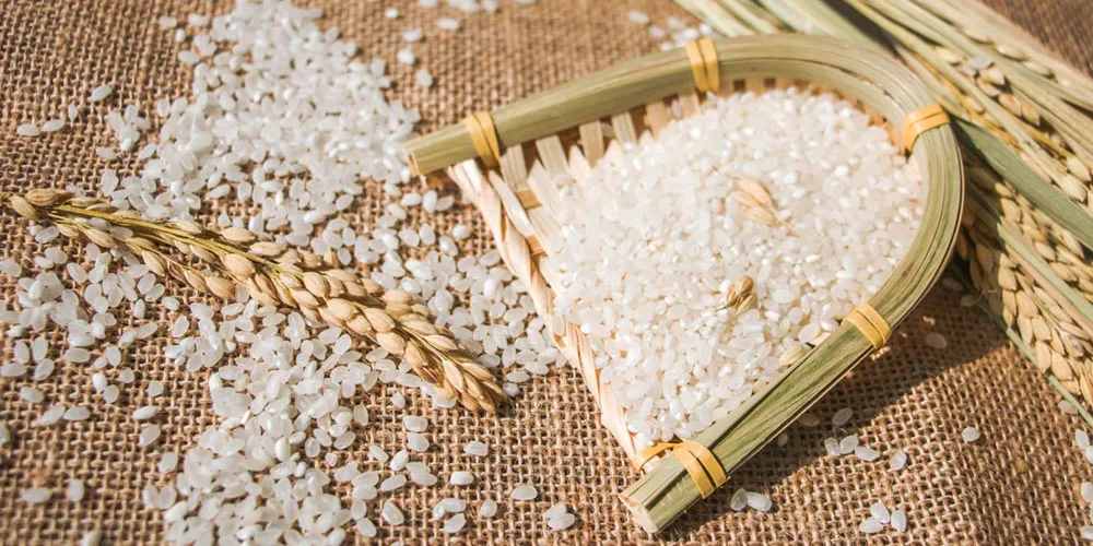 Glutinous Rice Starch - Buy Glutinous Rice Starch,Glutinous Rice Starch ...