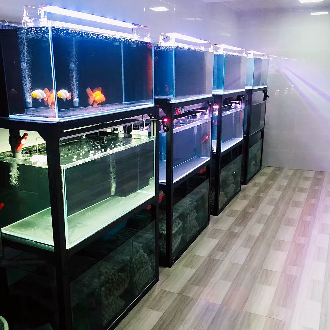 Custom Black White 4 Layers LED Aquarium Shop Display Tanks