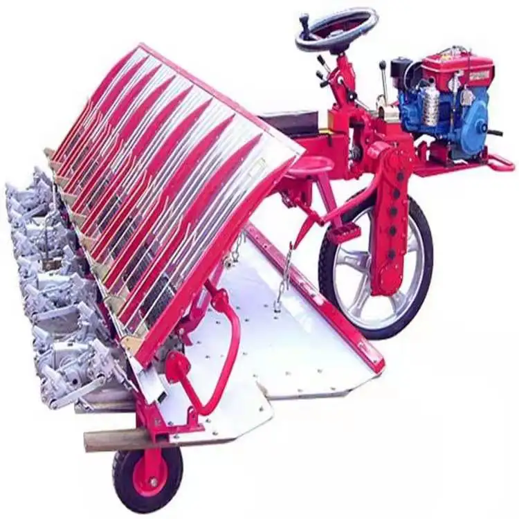 Small Hand-Operated Rice Planter - Double-Row Seedling Transplanter