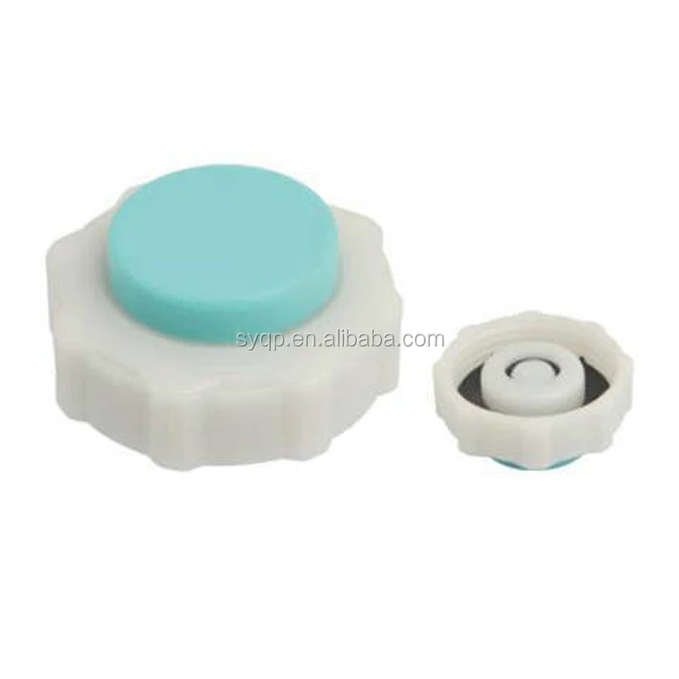 Hot Sale Coolant Cap 7700805131 8200048024 4155010015 21430 Ax300 21430 ...