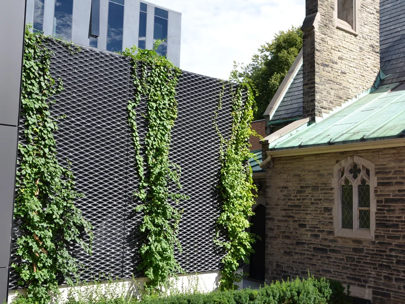 Galvanized Expanded Metal Mesh for Brick Wall Reinforcement