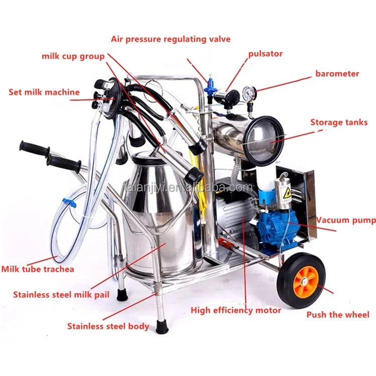 Automatic Cow Milking Machine For Dairy Equipment Available For Sale ...