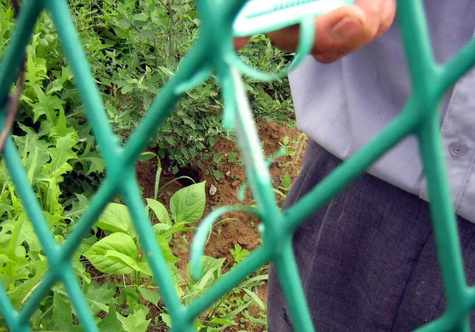 Galvanized Steel Sheet Mesh Stretch Mesh 5mm Factory Wholesale - Buy ...