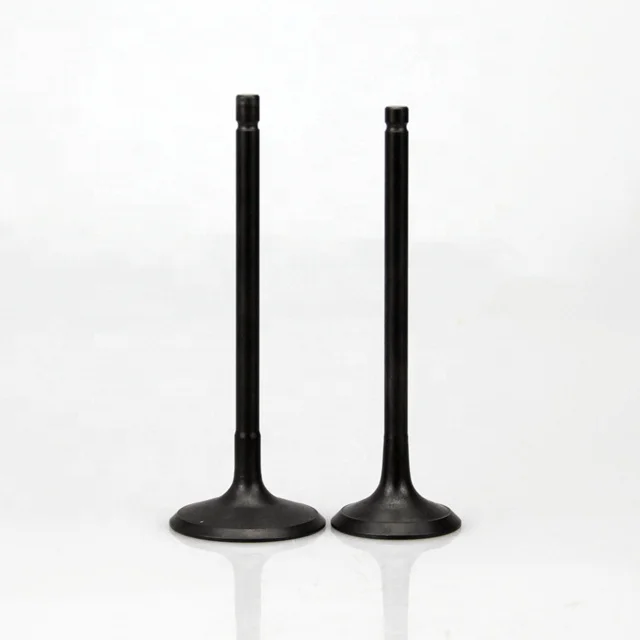 Kusima Manufacturer Auto Engine Engine Intake& Exhaust Valve For Land ...