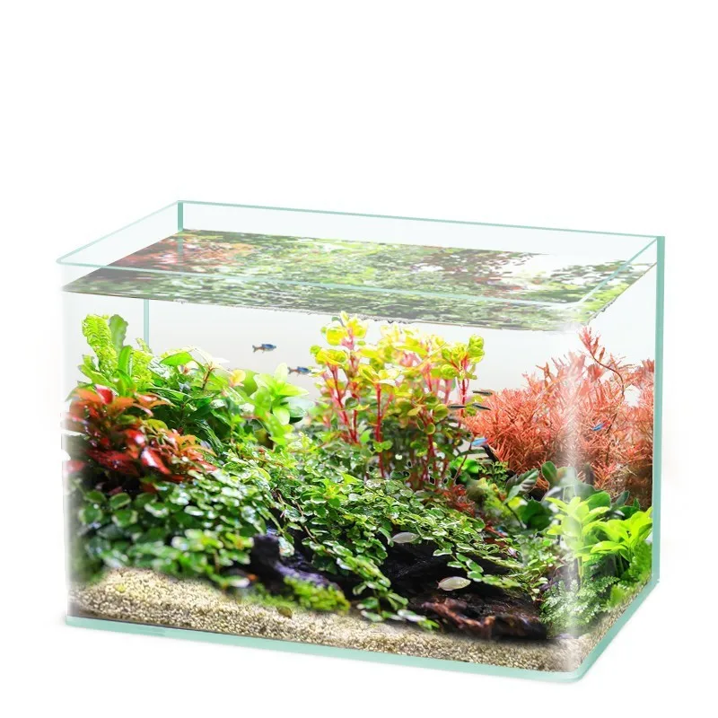 Clear Glass Square Fish Tank - Perfect for Betta Fish