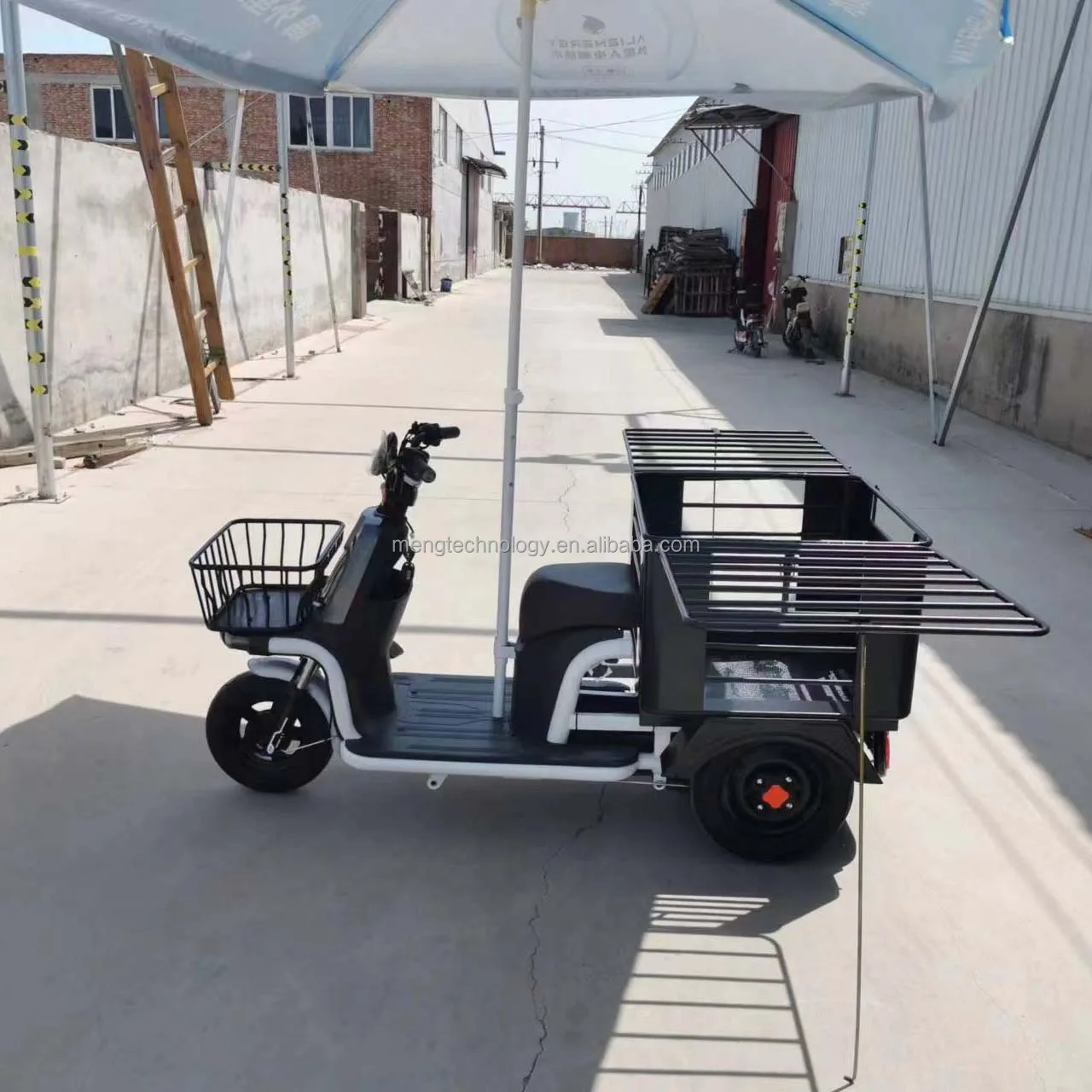 3 Wheel Electric Scooter For Adult Tricycle 500w Motor 8 Inch Tyre ...