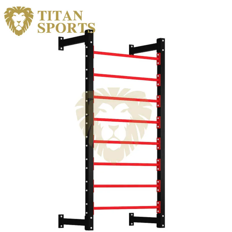 Wall Mounted Gym Stall Bars - Customized Training Tools