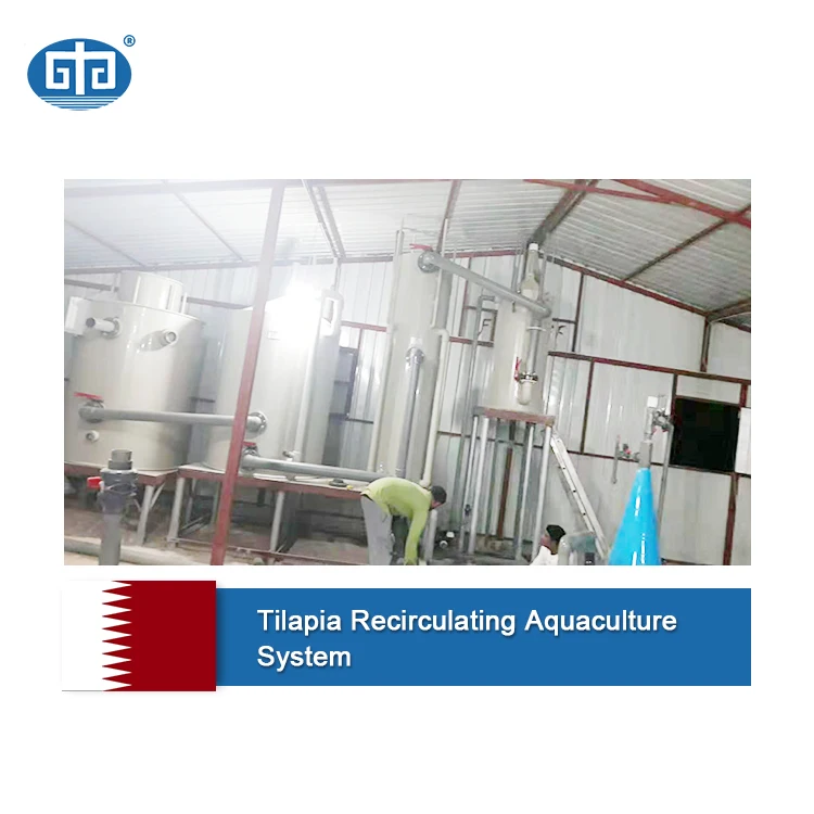 Qatar Indoor Fish Farm - Efficient Lobster & Catfish Aquatics