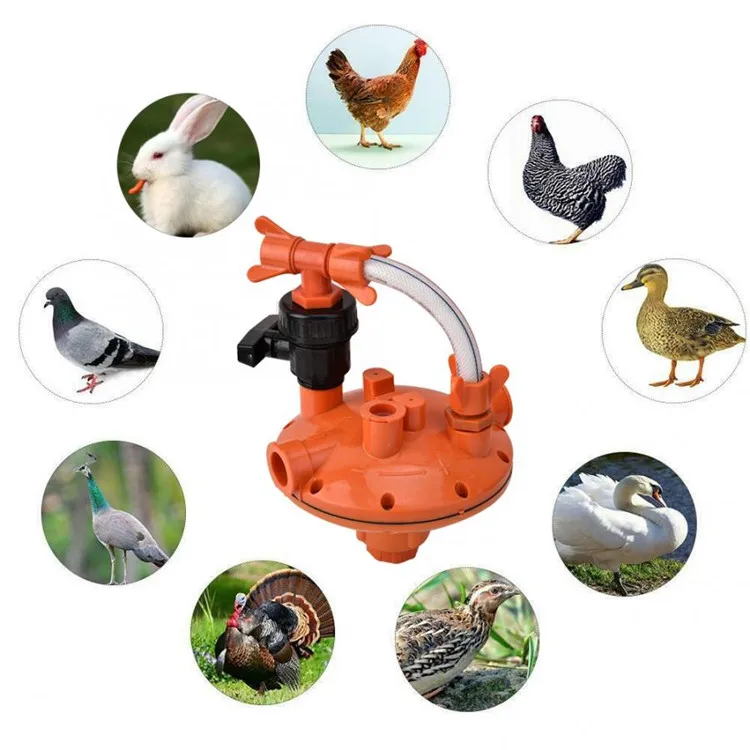 Chicken Layer Cage Pressure Reducing Regulator Valve