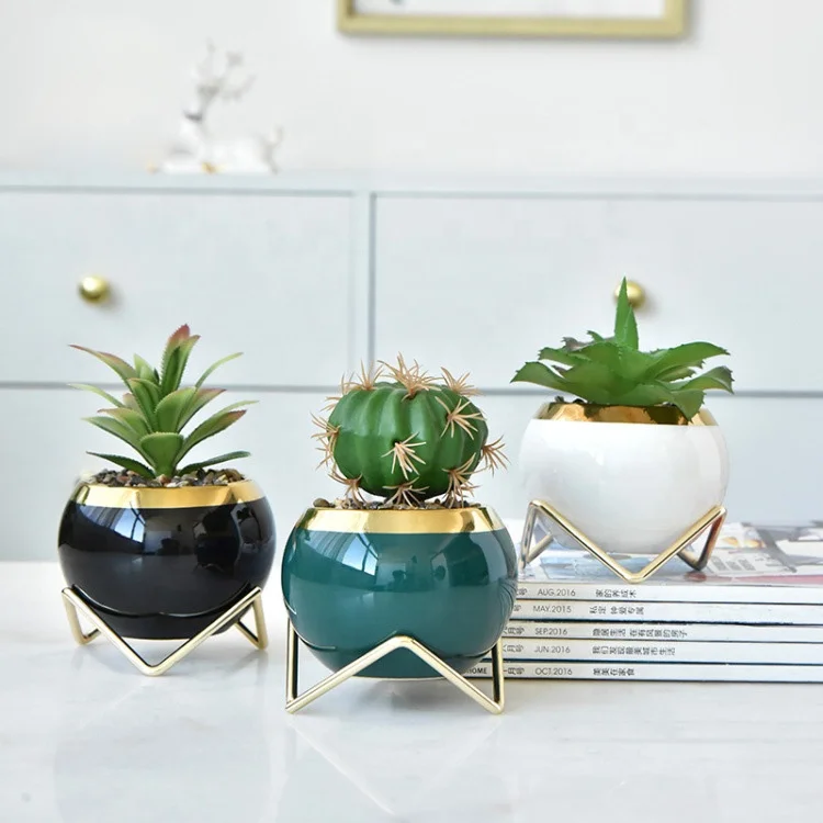 Small Size Cute Design Ceramic Succulent Pots Modern Decor Ceramic ...