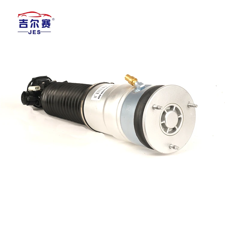 Auto Parts Rear Air Suspension Shock Absorber 37126858812 37126858811 ...