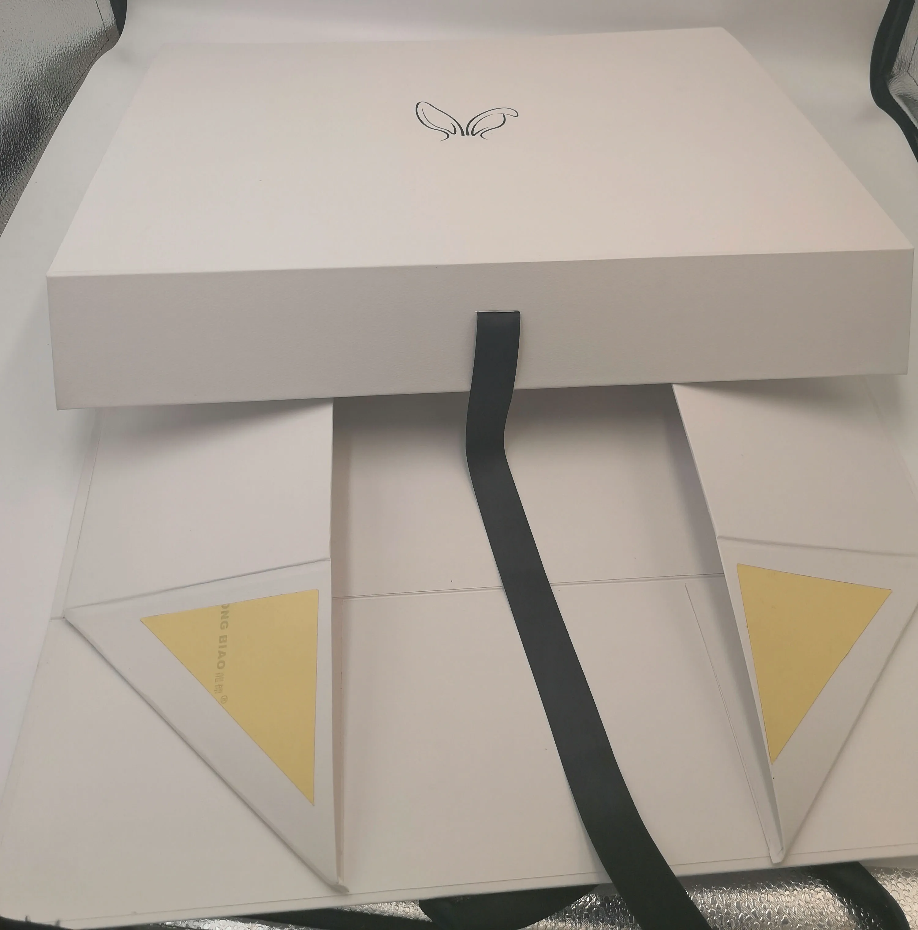 Reusable Extra Large Wedding Dress Packaging Box - Kaist