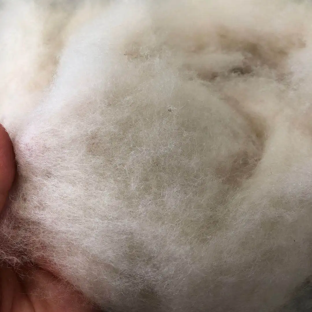 Scoured Sheep Wool - 100% Cashmere for Garments & Quilts