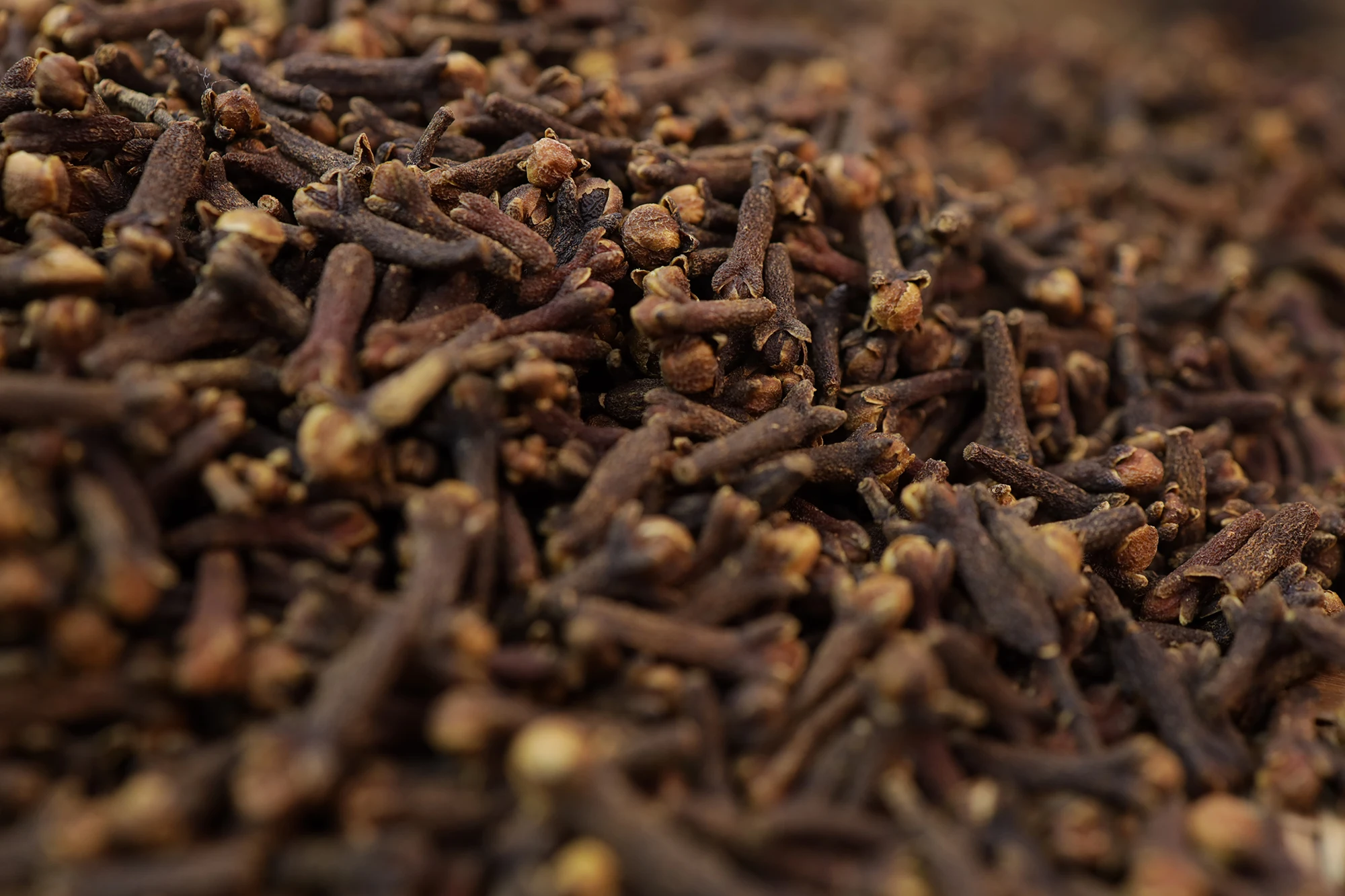 Chinese Clove Sticks - Clove Powder / Ground Cloves - Buy Clove Sticks ...