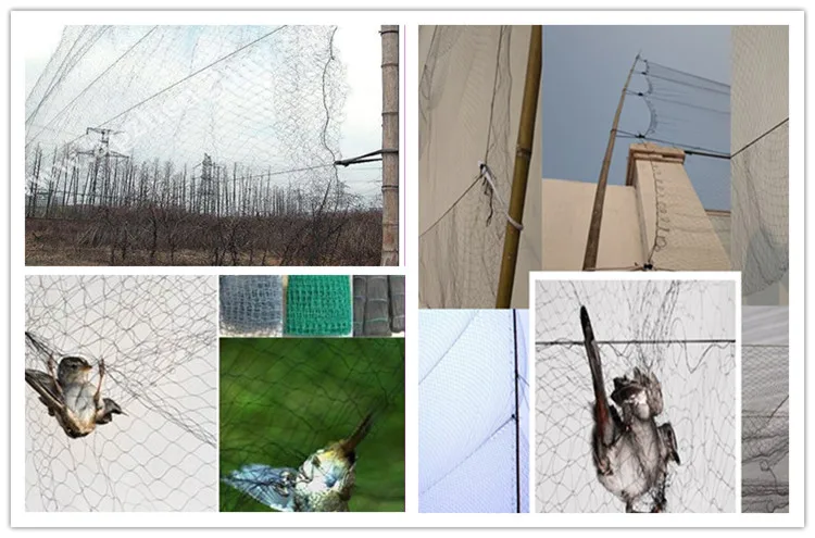 15*5M Nylon Anti Bird Live Bird Trap Mist Net Bird Mist Nets para la ...