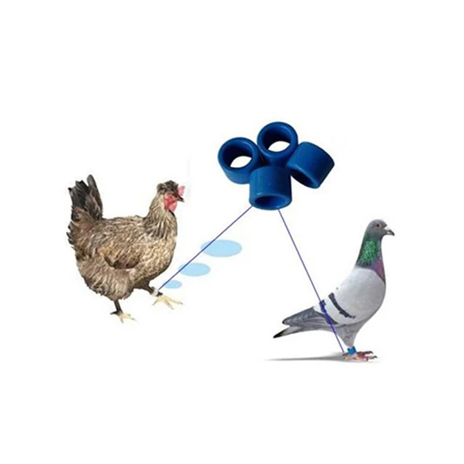 860-960mhz UHF RFID Foot Ring Tag for Pigeon/chicken/duck Livestock ...