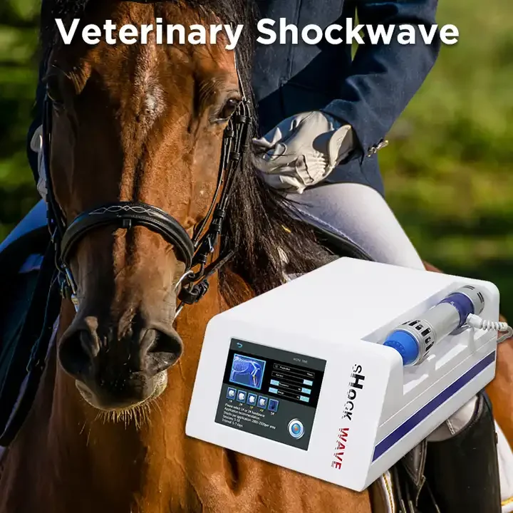 Shockwave Device Transactional - Physical Therapy Solutions