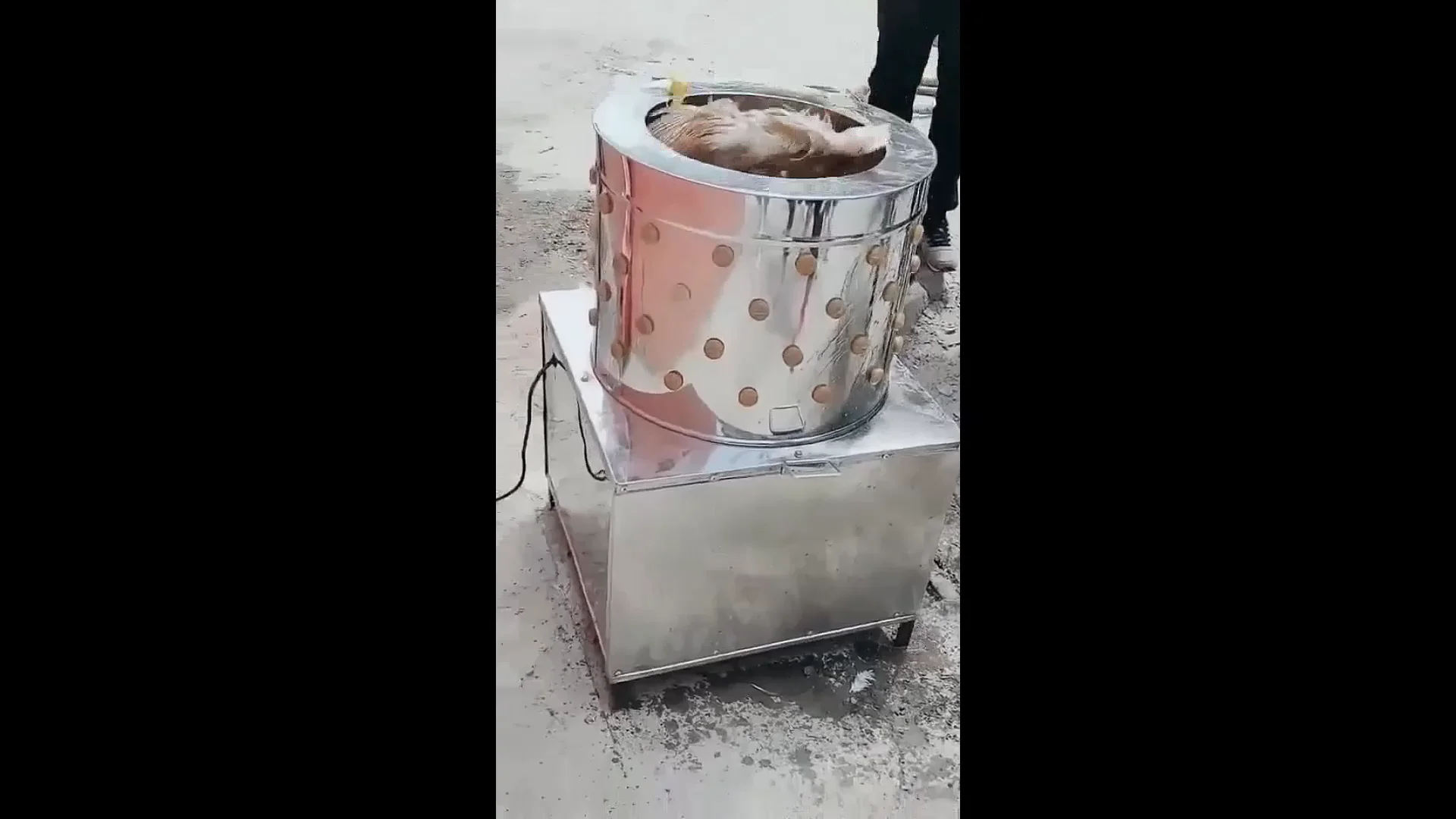 20ft Chicken Defeathering Machine For Poultry Plucking Feather Remove ...