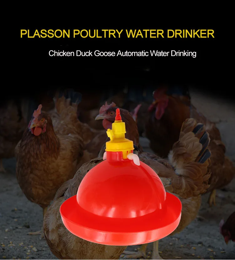 Poultry Chicken Plasson Bell Drinker - Automatic Waterer
