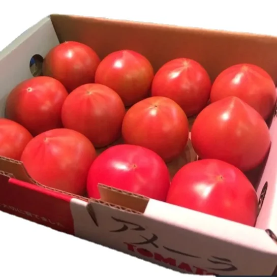 Fresh Tomatoes - High Shelf Life - Quality Produce - Buy Tomato Fresh ...