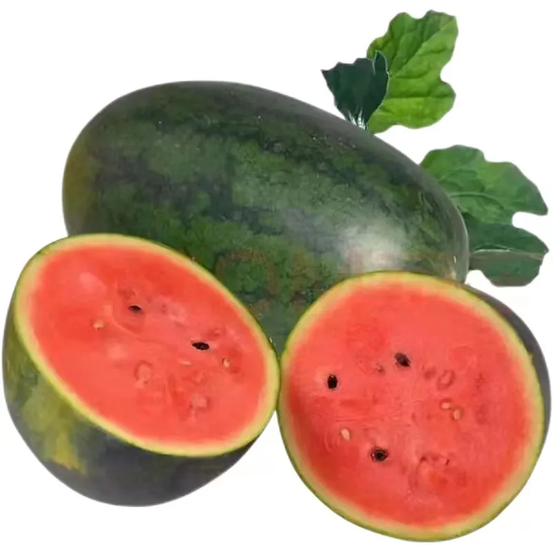 Premium Fresh Watermelon Juicy, Crispy and Sweet Organic Fresh ...