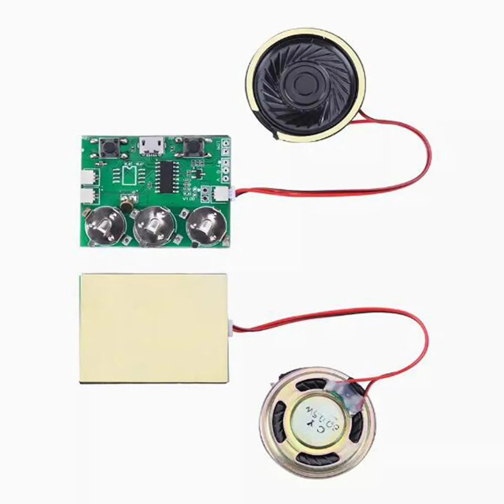 Taidacent 100 Seconds Diy Greeting Card Chip Recordable Voice Sound ...