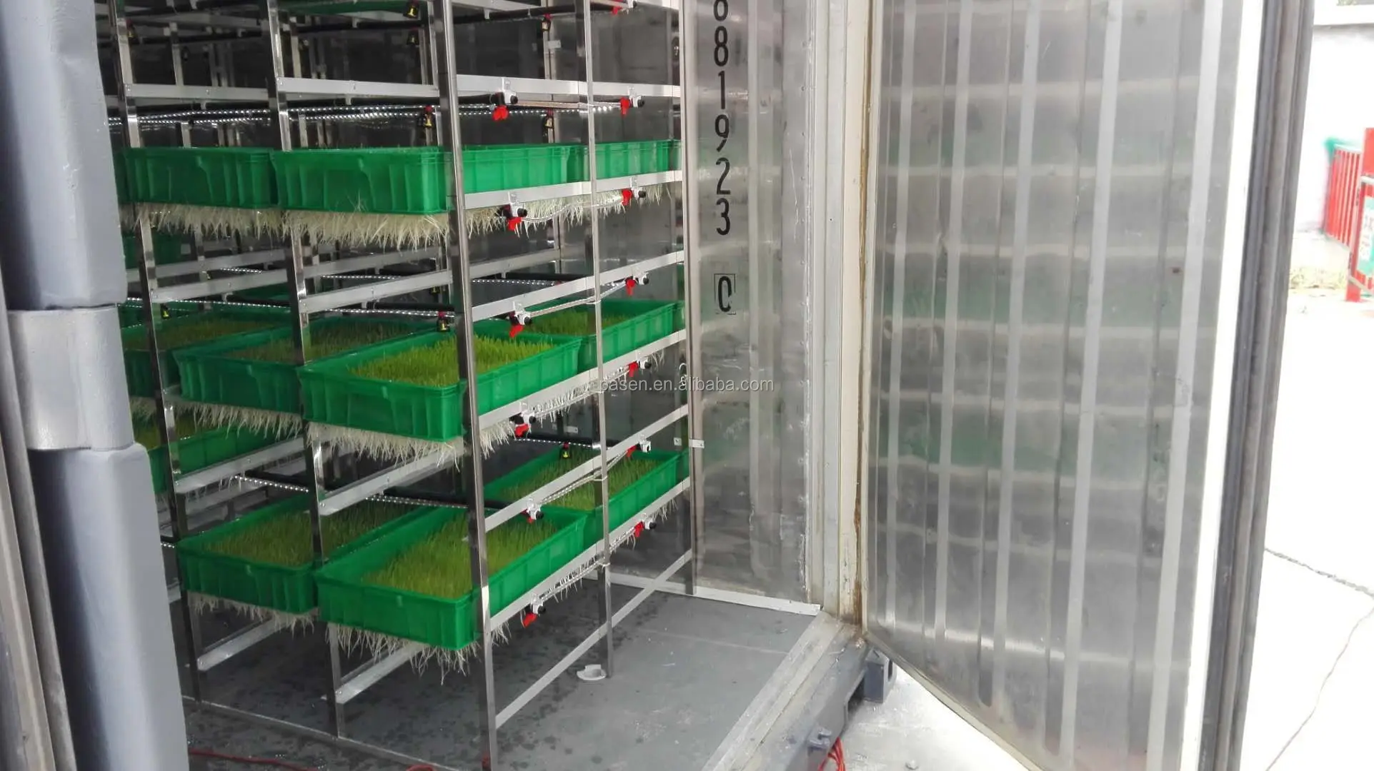 Hydroponic Fodder Machine - High Productivity Animal Feed