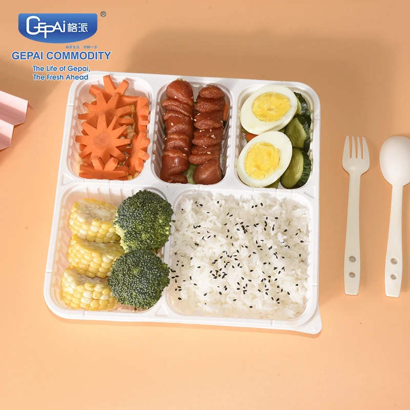 Disposable 5-compartment Plastic Bento Box For Food For Busy On-the-go ...