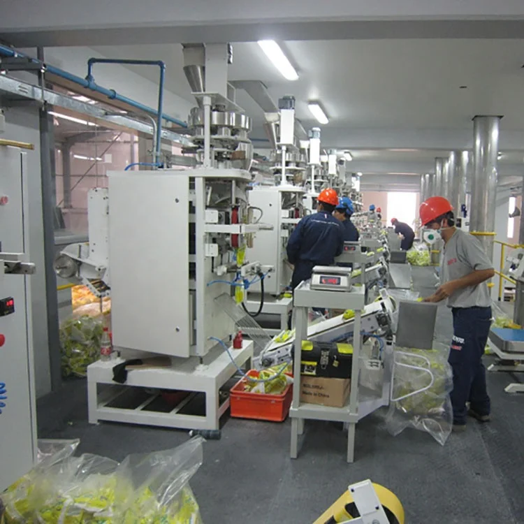 Drying Detergent Powder Plant - Efficient Production Line