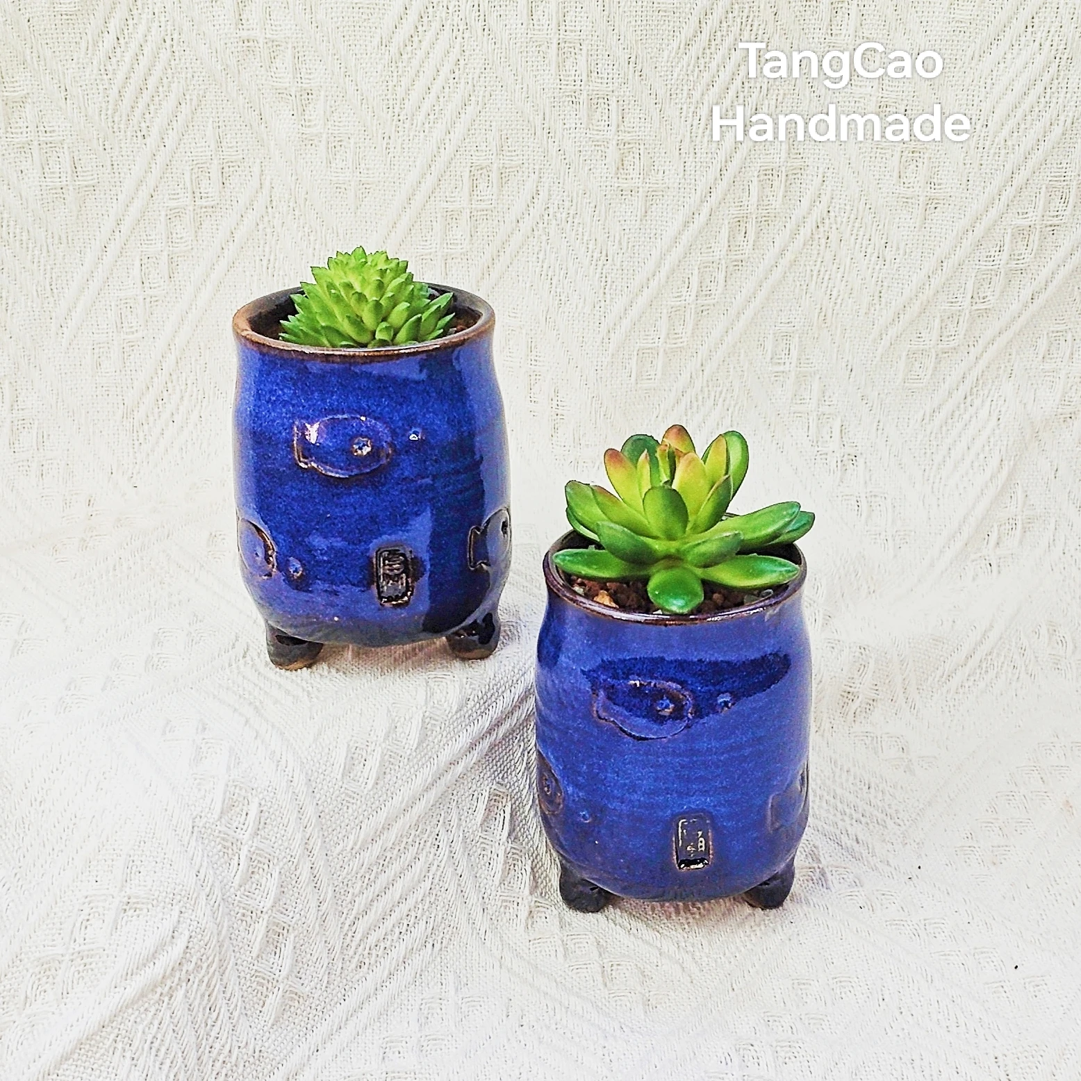 Tangcao Handmade Flowerpot Creative Cute Ceramic Fleshy Flower Pot ...