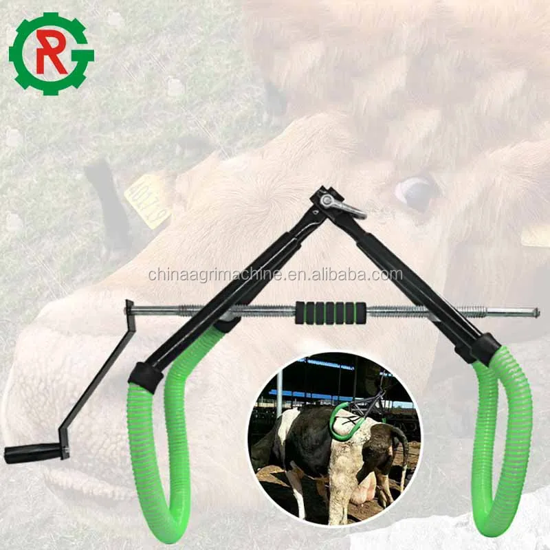 Calf Cow Cattle Lifting Device Cattle Lifting Frame - Buy Cattle ...