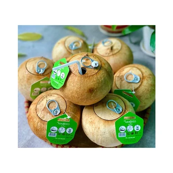 Fresh Easy Opening Coconut/ Lid Easy Young Coconut/easy To Open Pull ...