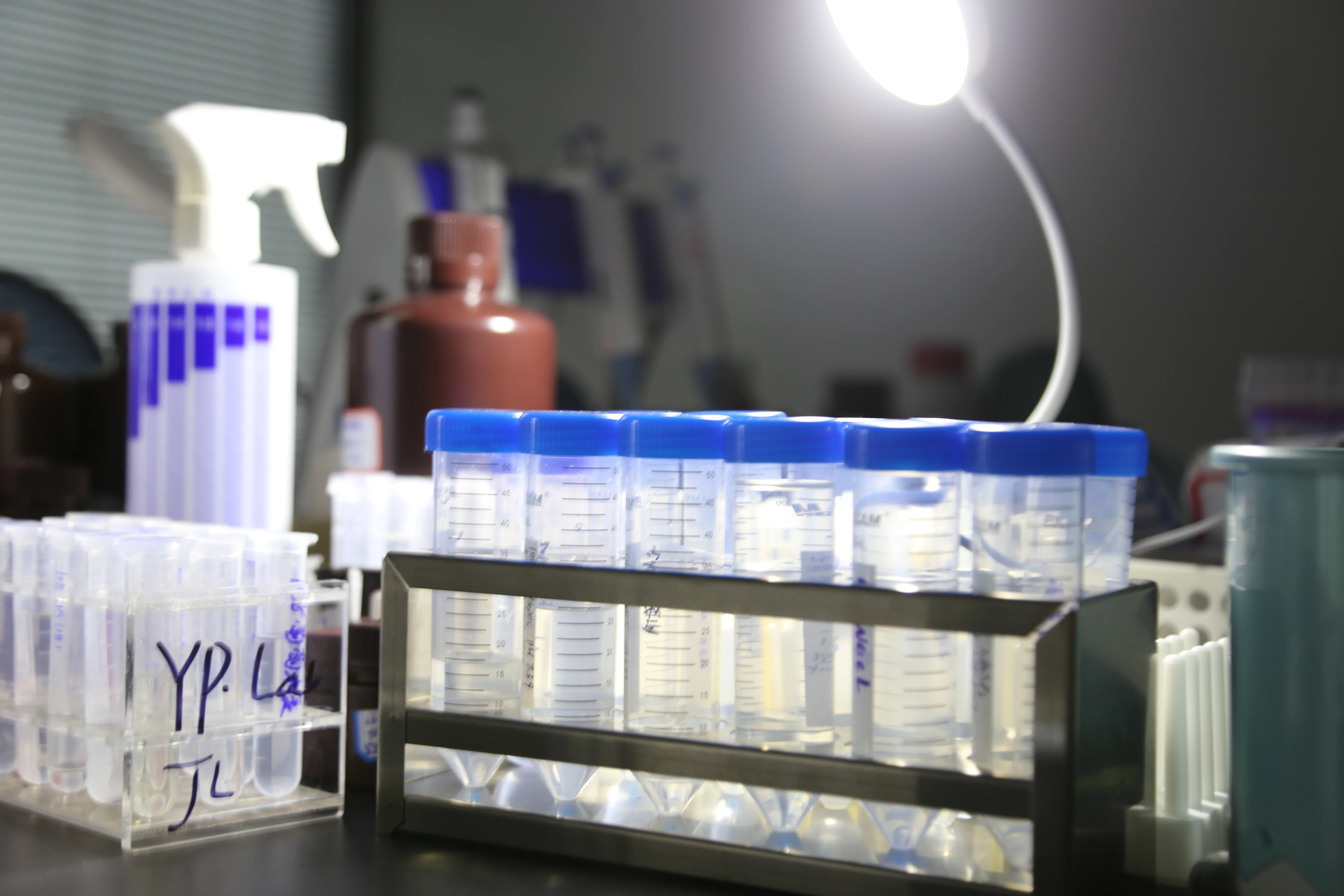 Western Blot Elisa Subtrate Luminol Ecl Luminescence Reagent Hrp Enzymatic Stable Version ...