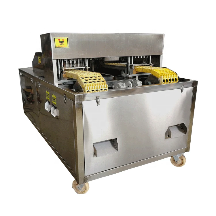 Electric Plum Destoner Machine - Efficient Pitting Solutions