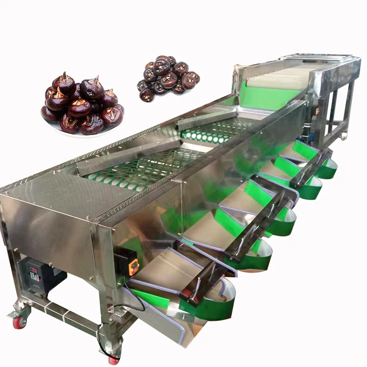 Onion Sorting And Grading Machines Jujube Olive Walnut Sorting Machine ...