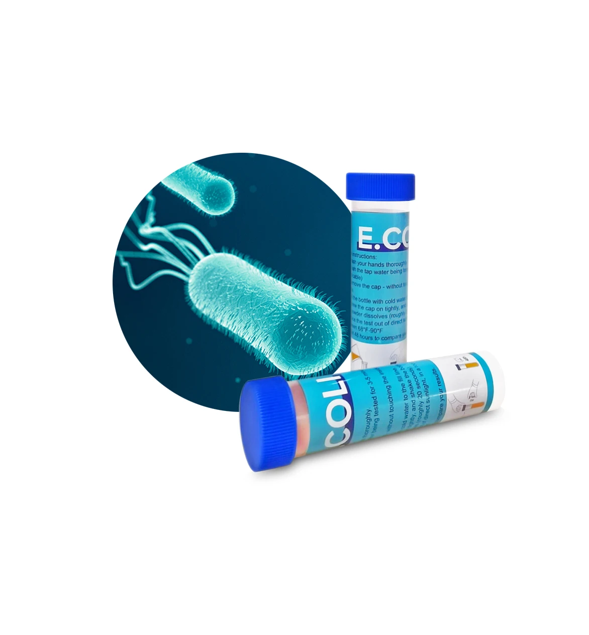 Well Water Test Kit | Detect E.coli And Coliform Bacteria Escherichia ...