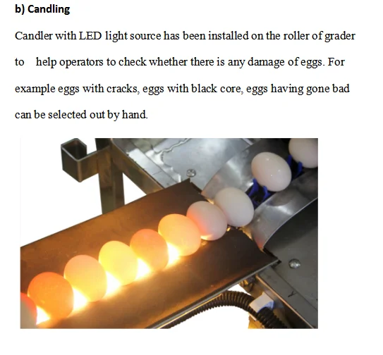 Professional Automatic Egg Washing Machine Led Candler Dispenser ...