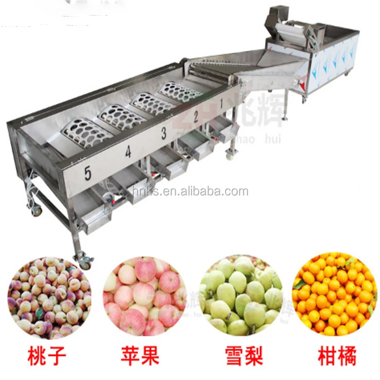 New Condition Potato Apple Sorter Machine 500kg for Retail