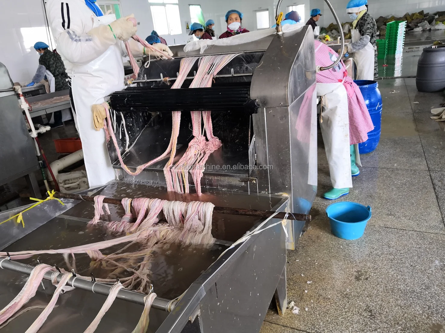 Sheep Intestine Hog Casings Cleaning Machine for Sausage Casings ...