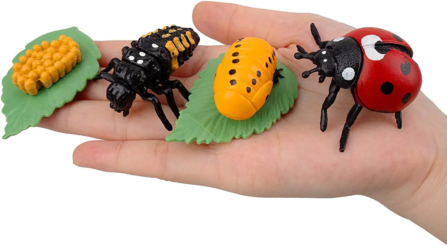 16PCS Realistic Insect Figurines for Kids - Monarch Butterfly, Honey ...