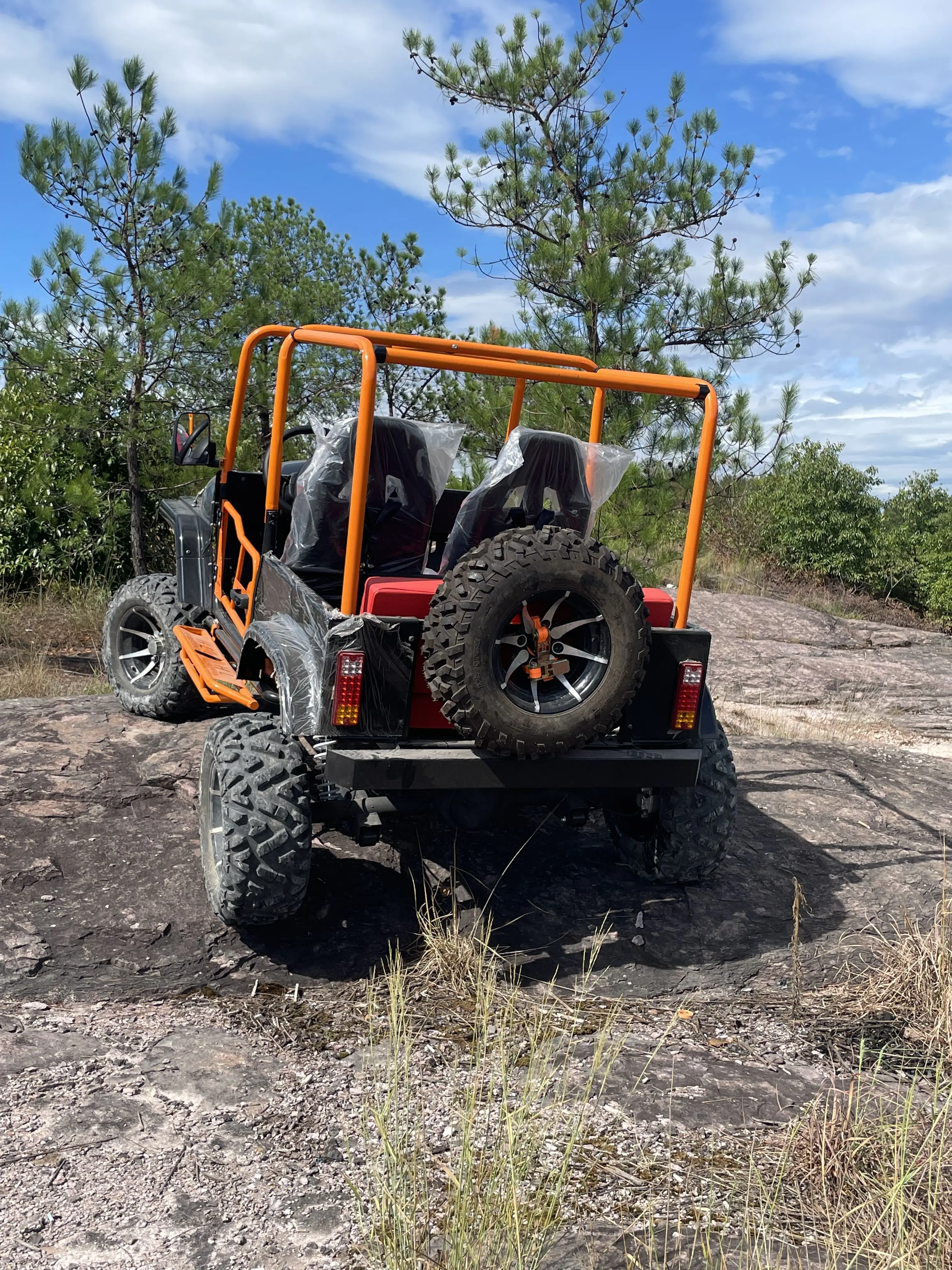 300cc Dune Buggy Optional Two Wheel Drive Four-wheel Drivewheel Off ...