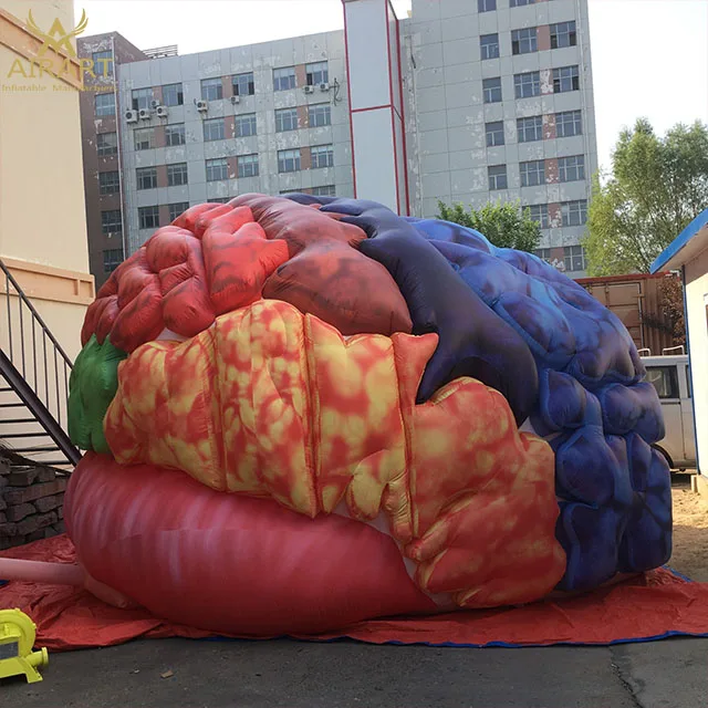Custom Inflatable Body Giant Inflatable Brain Entrance For Medical ...