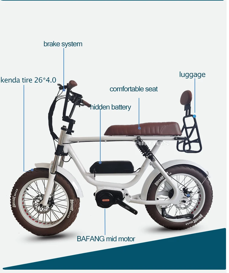 2024 48V 1000W Ebike - Super Powered Two Seat Electric Bike