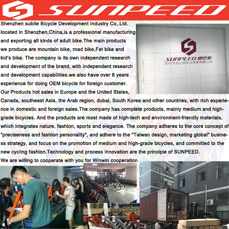 Sunpeed Eagle Pro Bicycle - Racing MTB with Carbon Frame