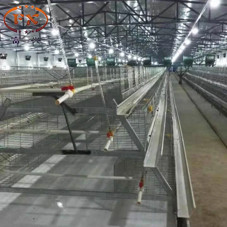 Egg Chicken Layer Cage Price And Chicken Egg Layer Cage For Chicken ...