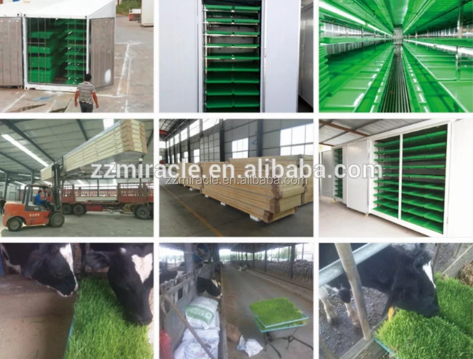 Container 1500kg Hydroponic Fodder System - Efficient Germination